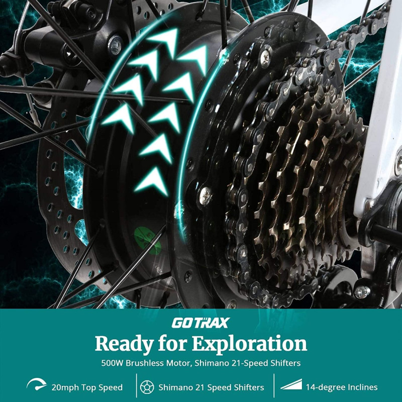 Gotrax Ebe 3 | Electric bike all terrain | ENERGY GROUP CANADA